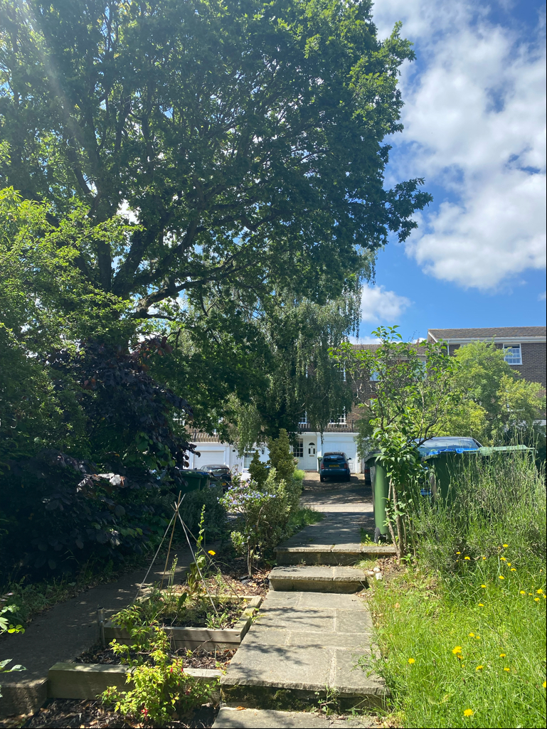 Liz – woolwich wandering